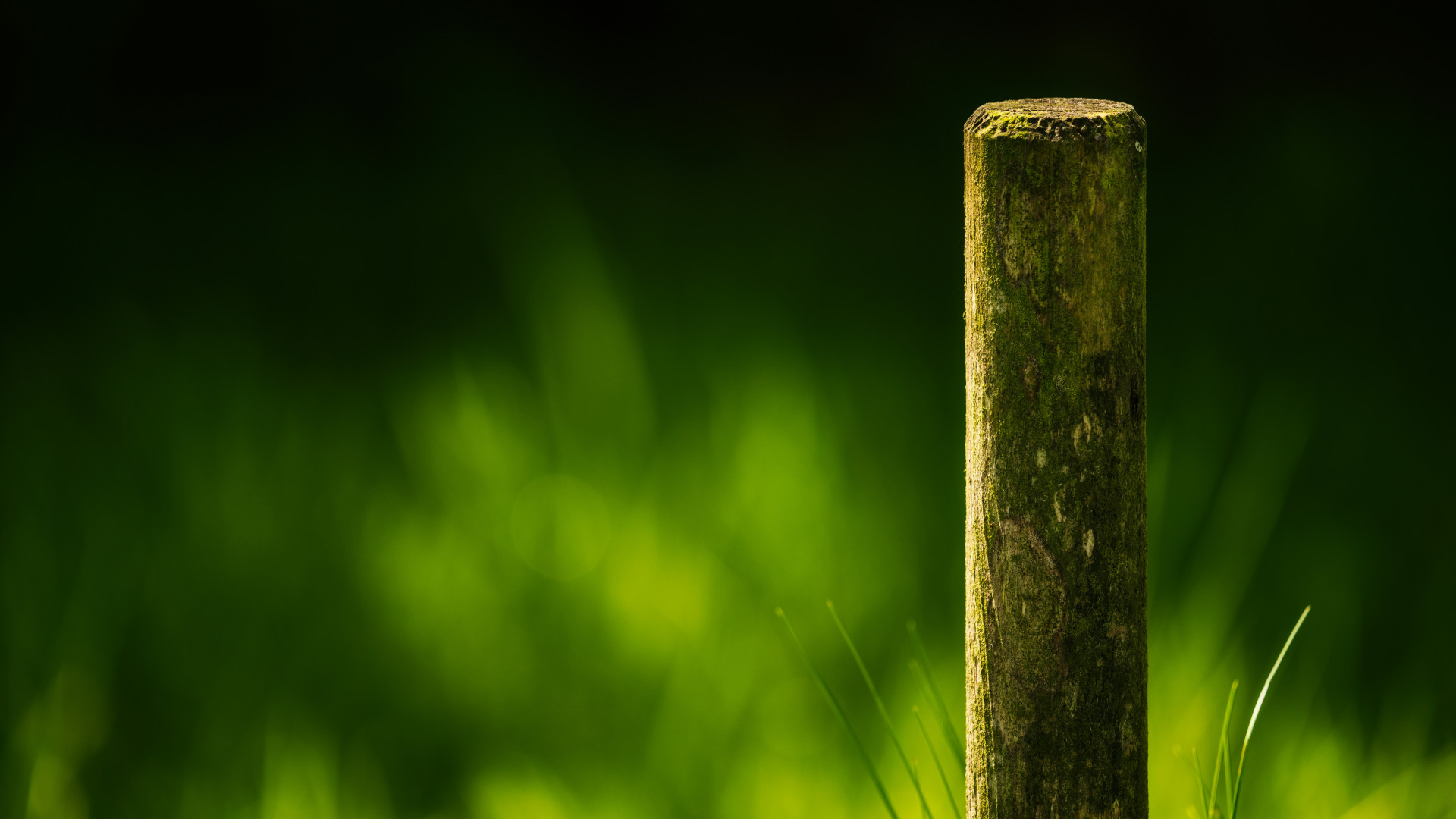Réussir l’installation de poteaux dans votre jardin : nos conseils et ...